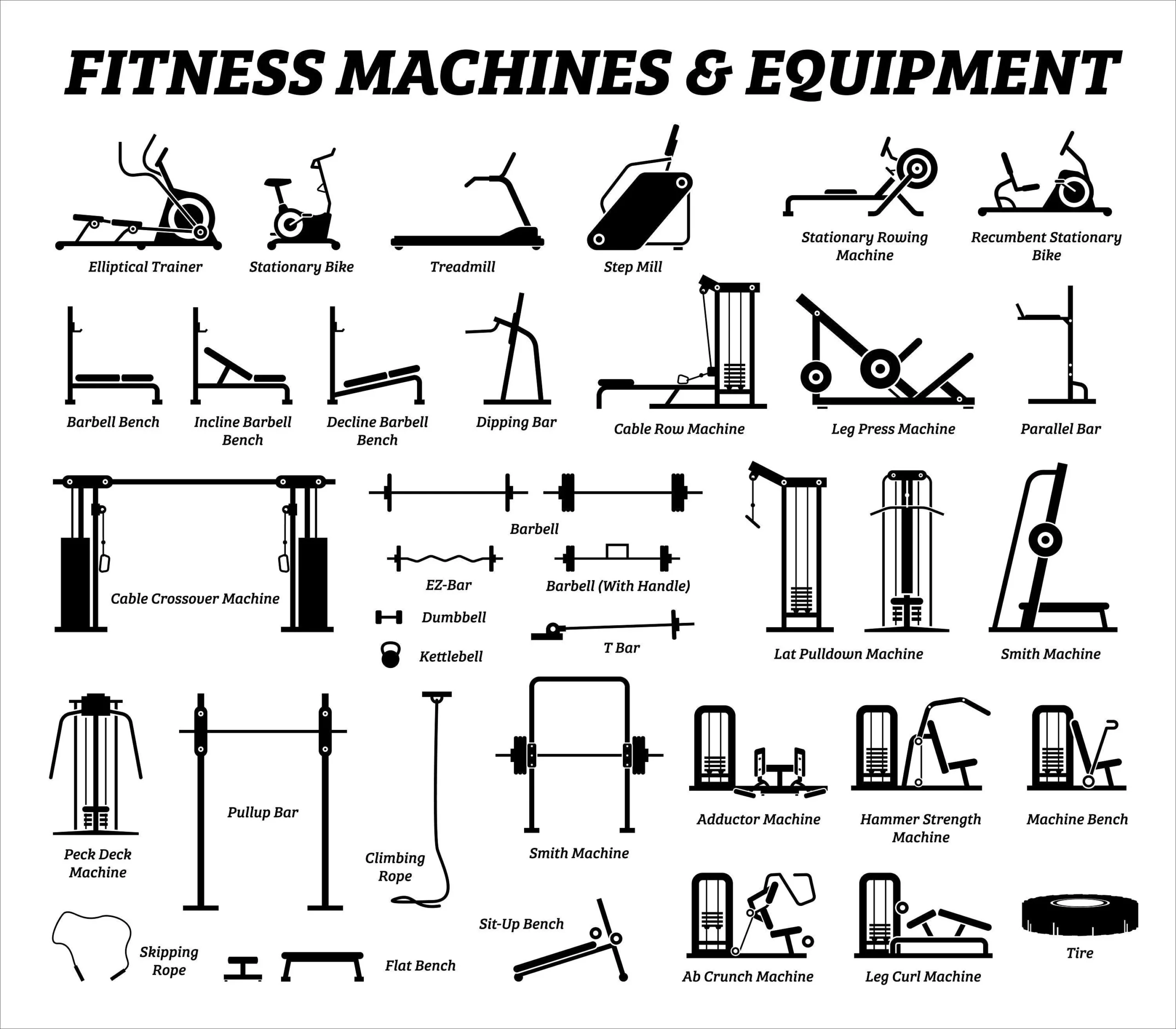 Gym Equipment Names - gymglam.in